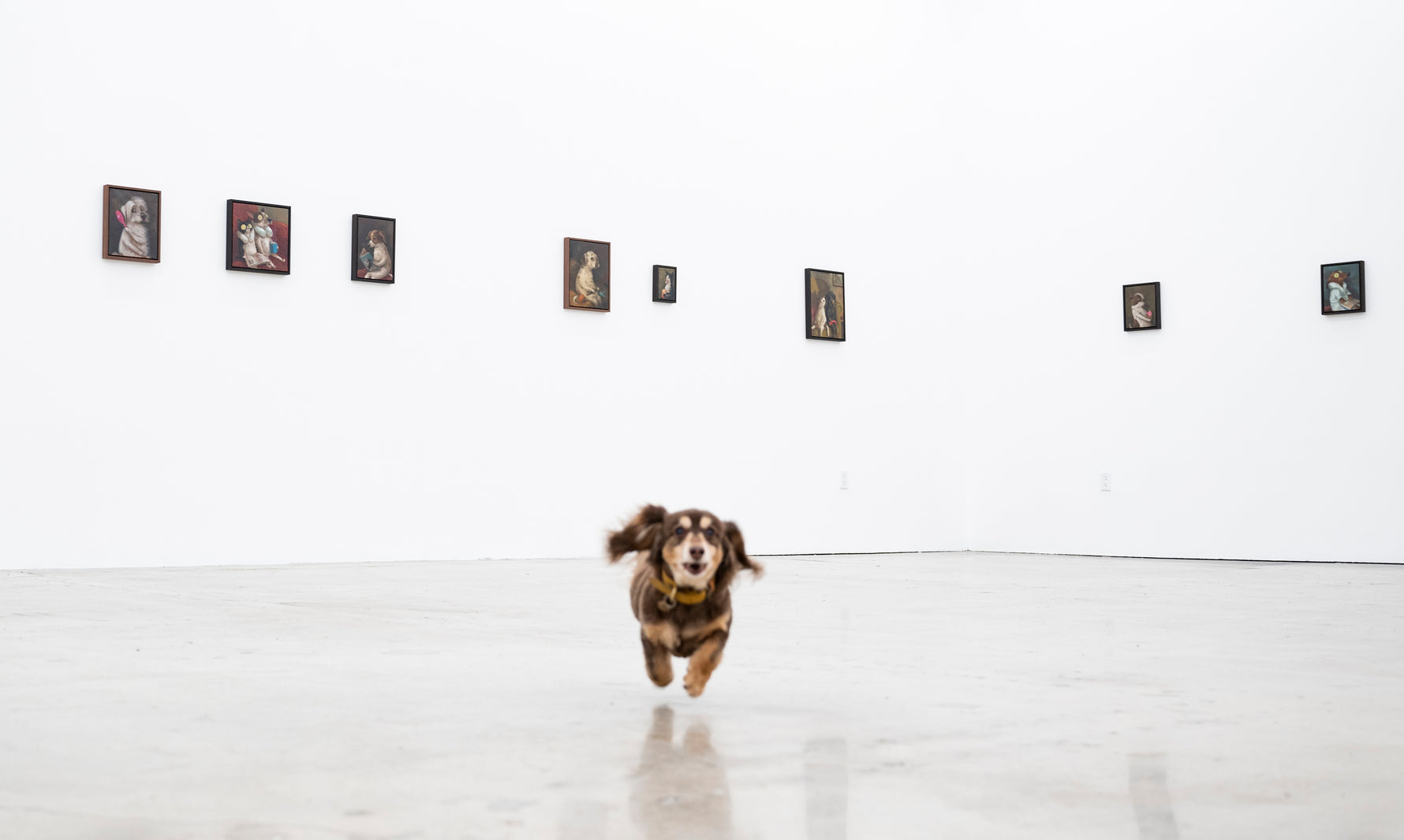 ABOUT THE ARTIST – Alison Friend