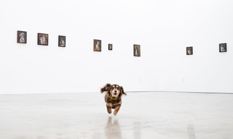 ABOUT THE ARTIST – Alison Friend