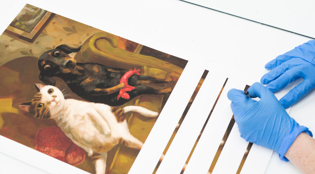 Frequently Asked Questions – Alison Friend